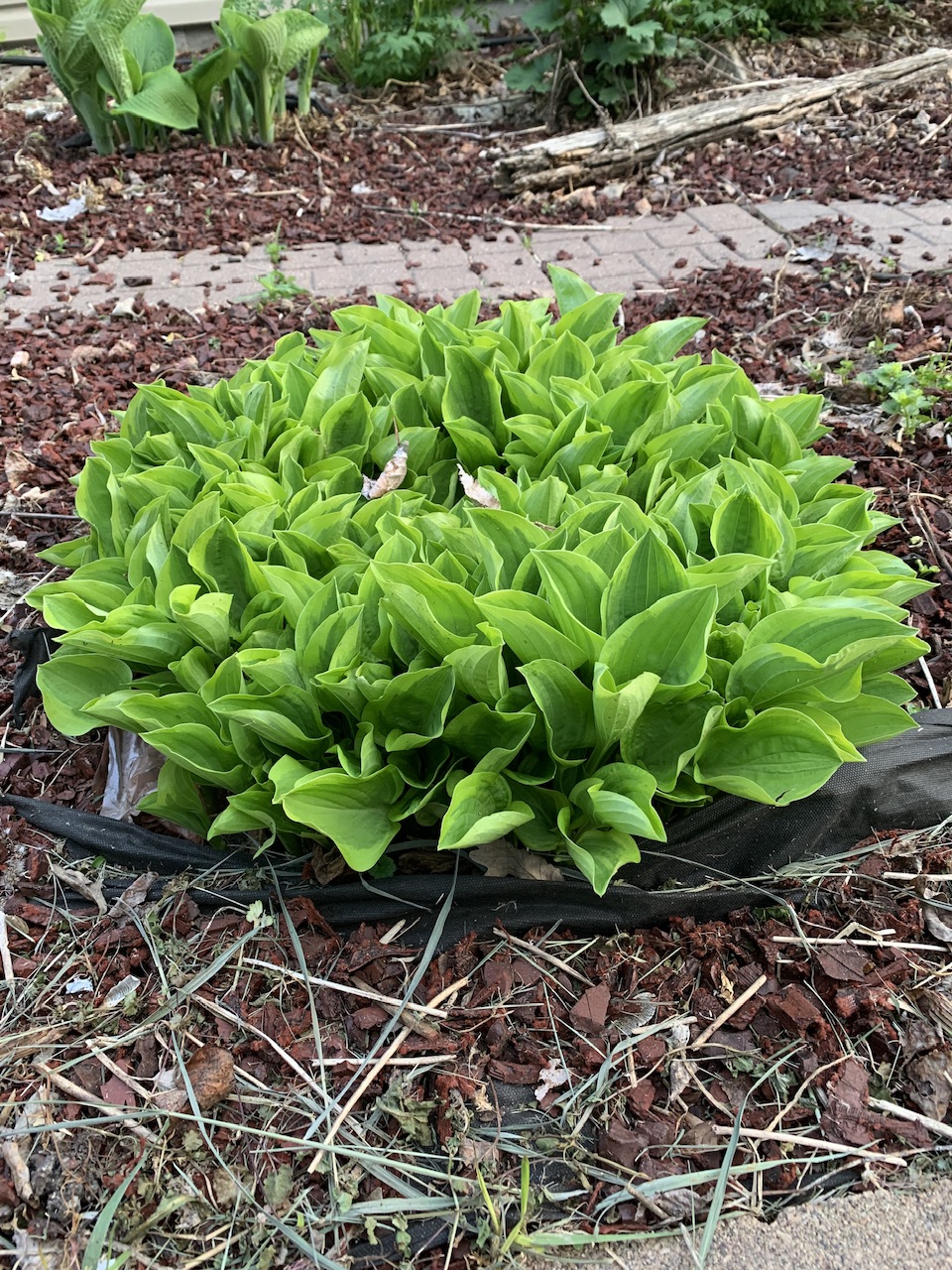 Why FireArms Ads Are Not Allowed On Facebook? – Skip In Yer Step